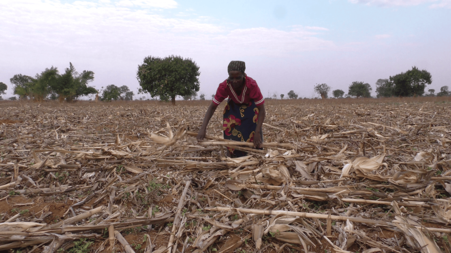 Malawi supports small-scale agriculture and promotes food security ...