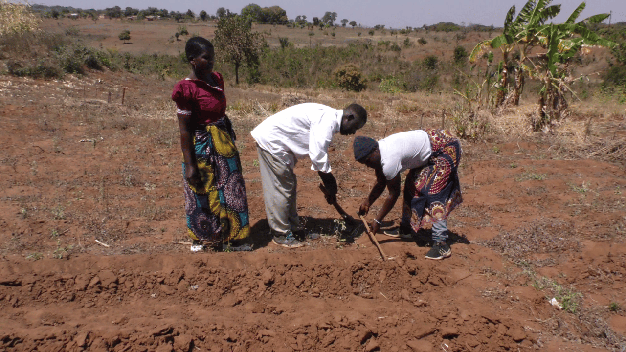 Malawi supports small-scale agriculture and promotes food security ...